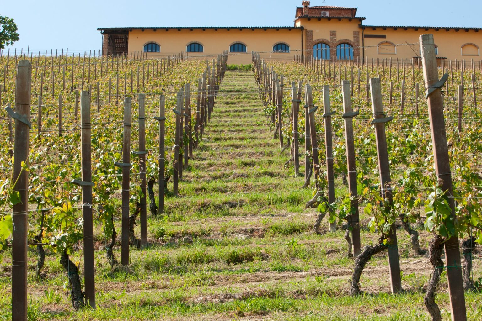 Gallery - Tenuta Rocca